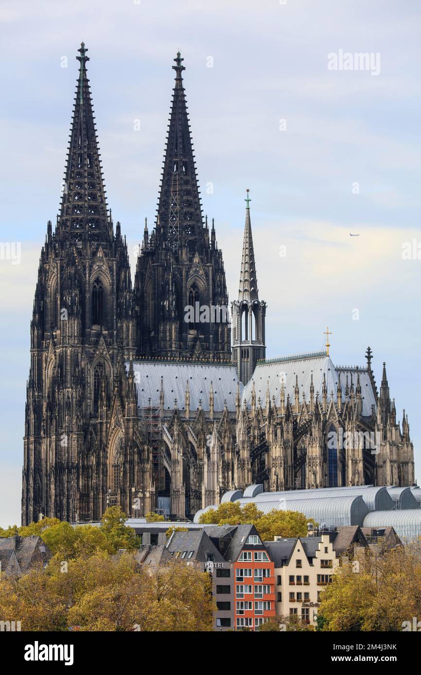 View from the Rhine bank Cologne Deutz over the Rhine to the Cologne ...