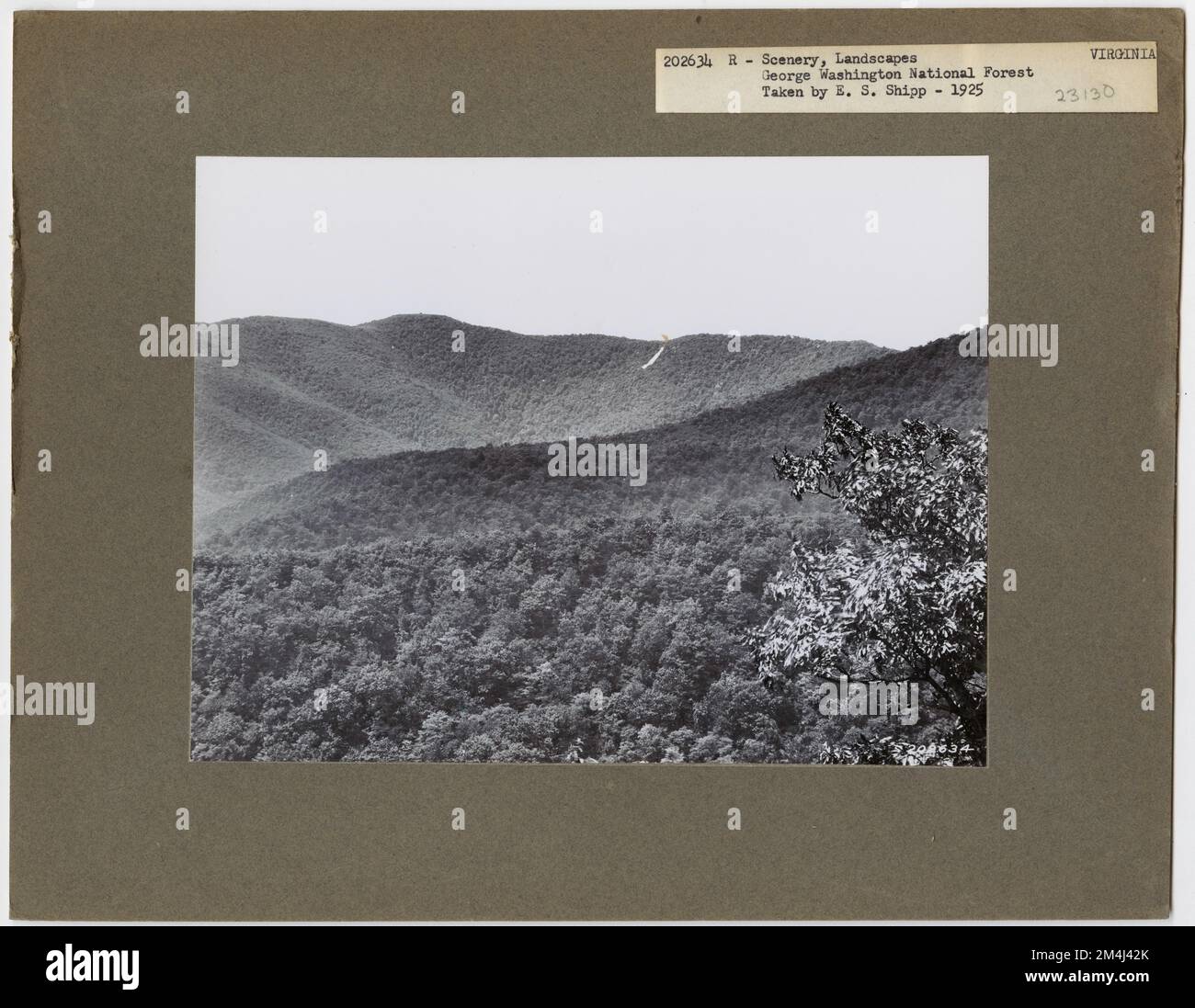Scenery and Landscapes - Virginia. Photographs Relating to National ...