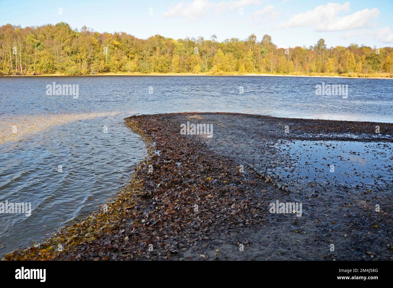 Nature reserve, Veenhuser Koenigsmoor, Moormerland, East Frisia ...
