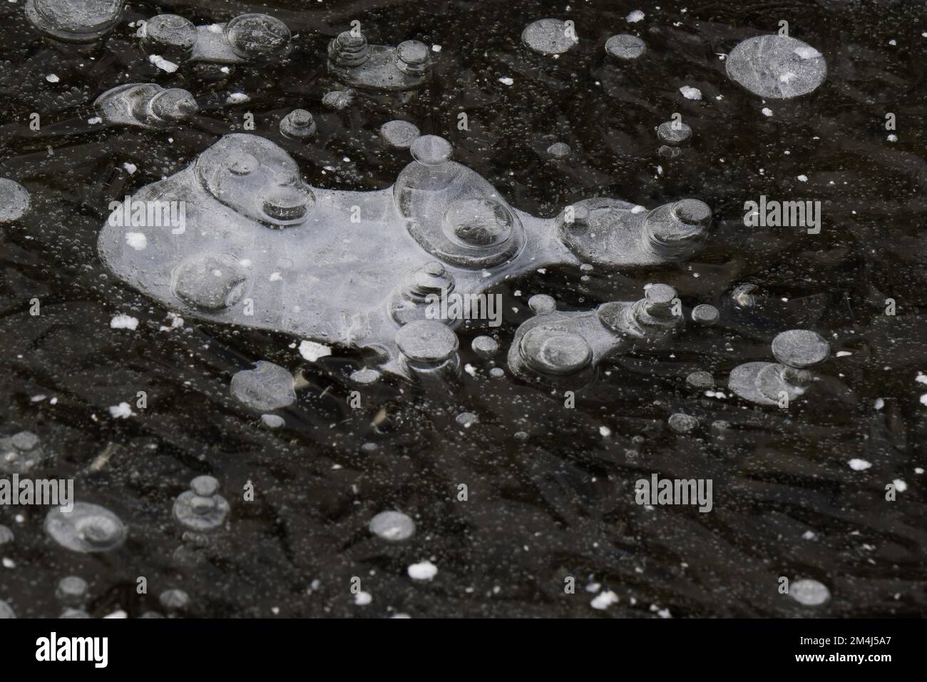 ELuft inclusions, air bubbles and structures in the ice on a frozen ...