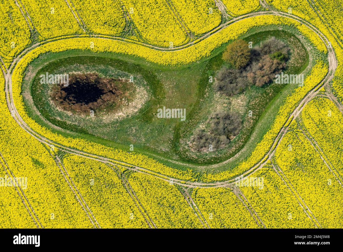 Aerial view of a Soll in a rape field, Formed by the ice age in the ...