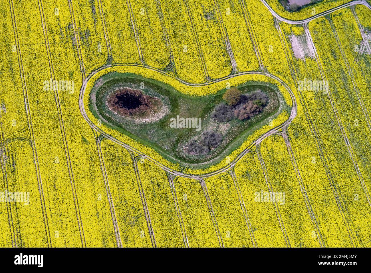 Aerial photograph of a Soll in a rape field, Formed by the ice age in ...