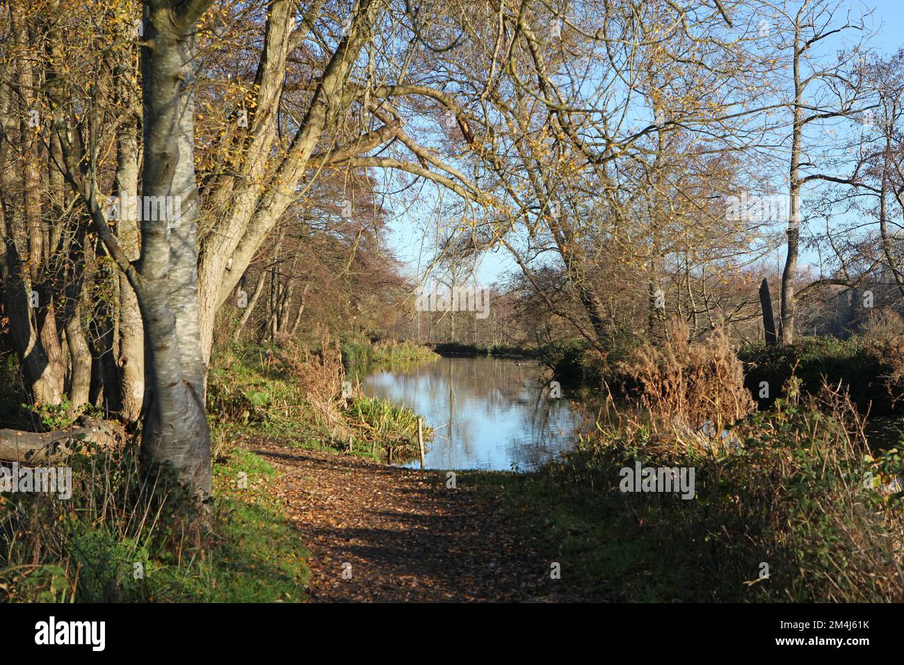 The tow path along a river in Surrey, UK Stock Photo - Alamy