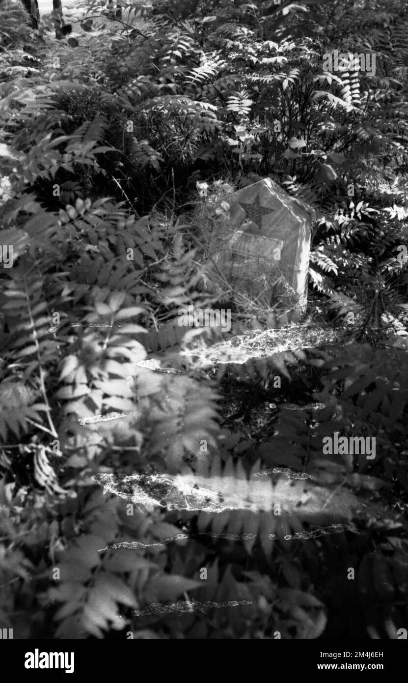 The traditional tribute to the dead Russians, soldiers and victims of ...