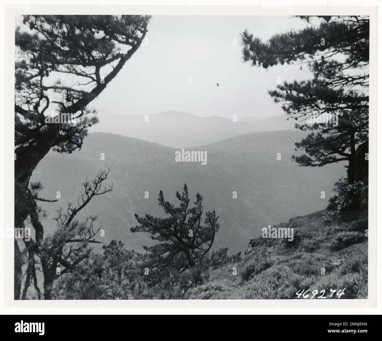 Natural history north carolina* Cut Out Stock Images & Pictures - Alamy