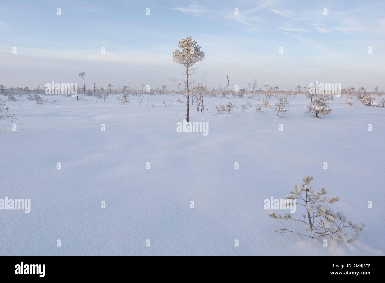 Bog landscape hi-res stock photography and images - Alamy