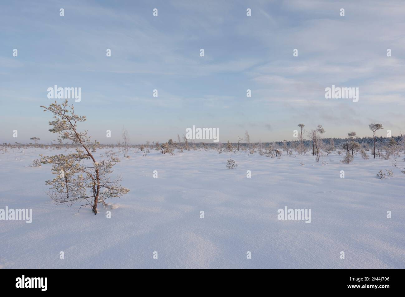 Bog landscape hi-res stock photography and images - Alamy