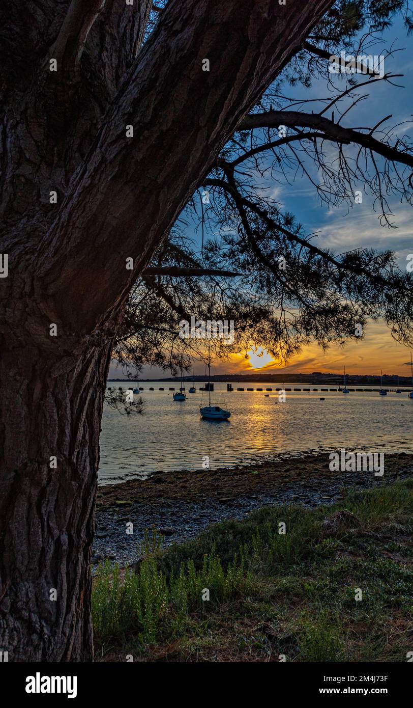 A scenic view of the Langstone harbor in Hailing Island, England during ...