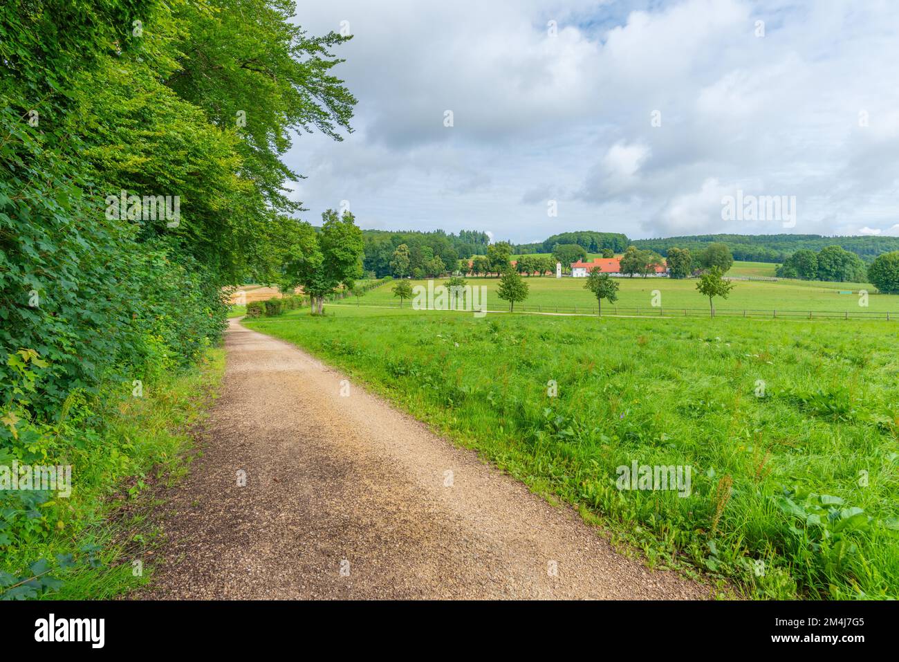 Fohlenhof Gestuet St. Johann, foal rearing station, Bad Urach, Swabian ...
