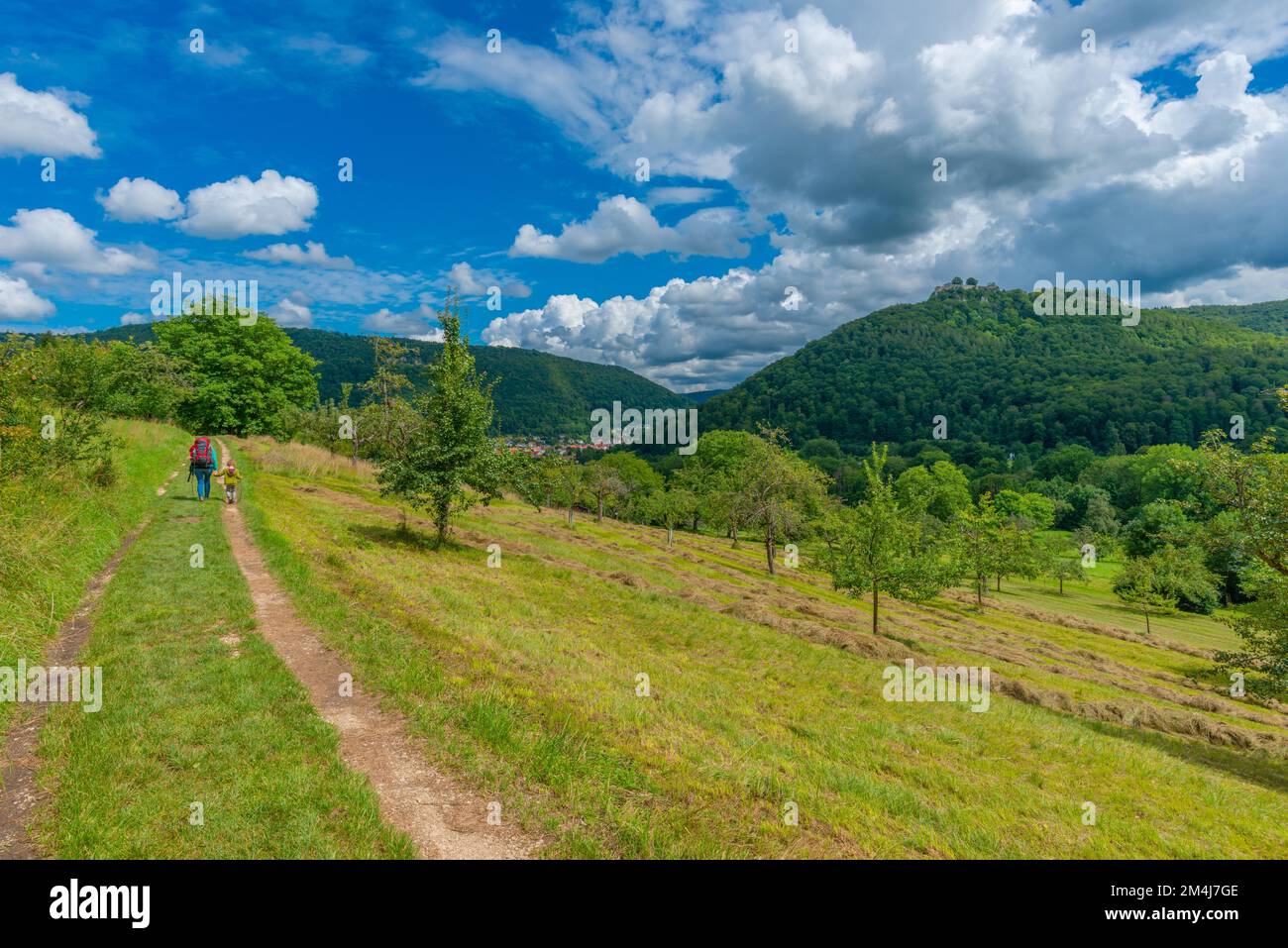 Hinteres Maisental landscape conservation area, Wasserfallstieg premium ...