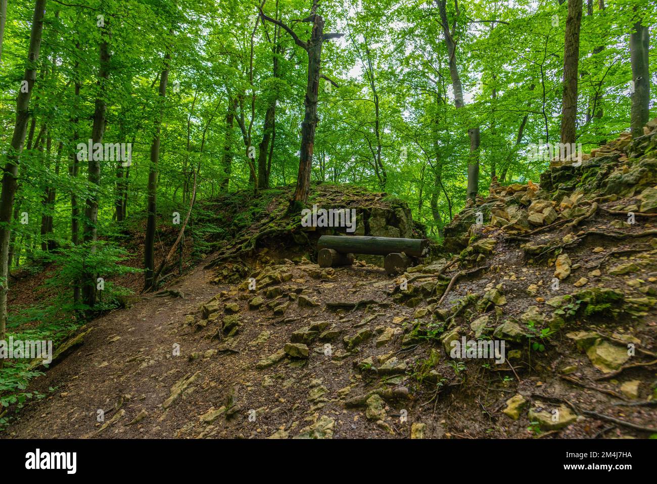 Bench at the premium hiking trail Urach Waterfall, Swabian Alb ...