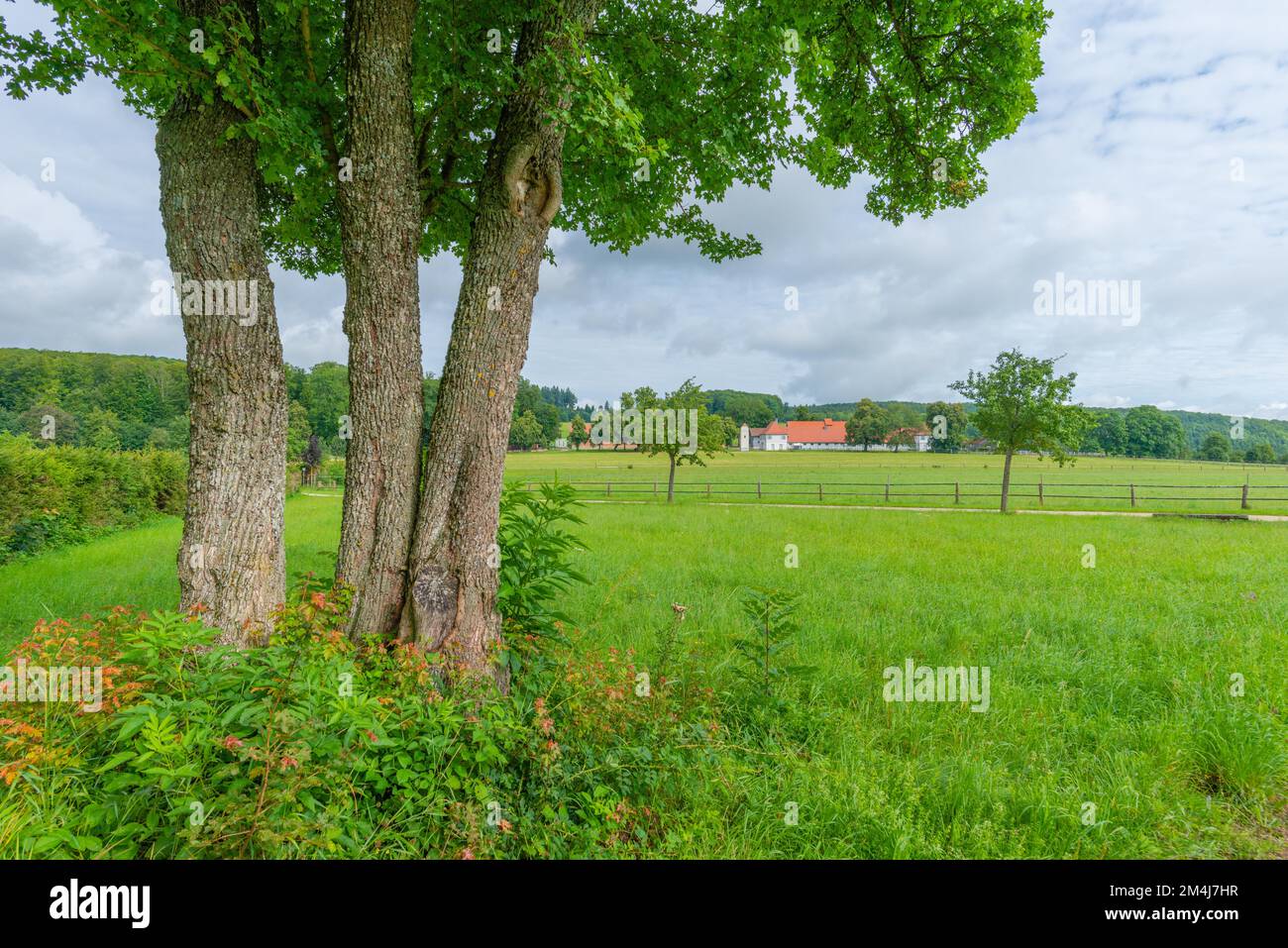 Fohlenhof Gestuet St. Johann, rearing station for foals, Bad Urach ...