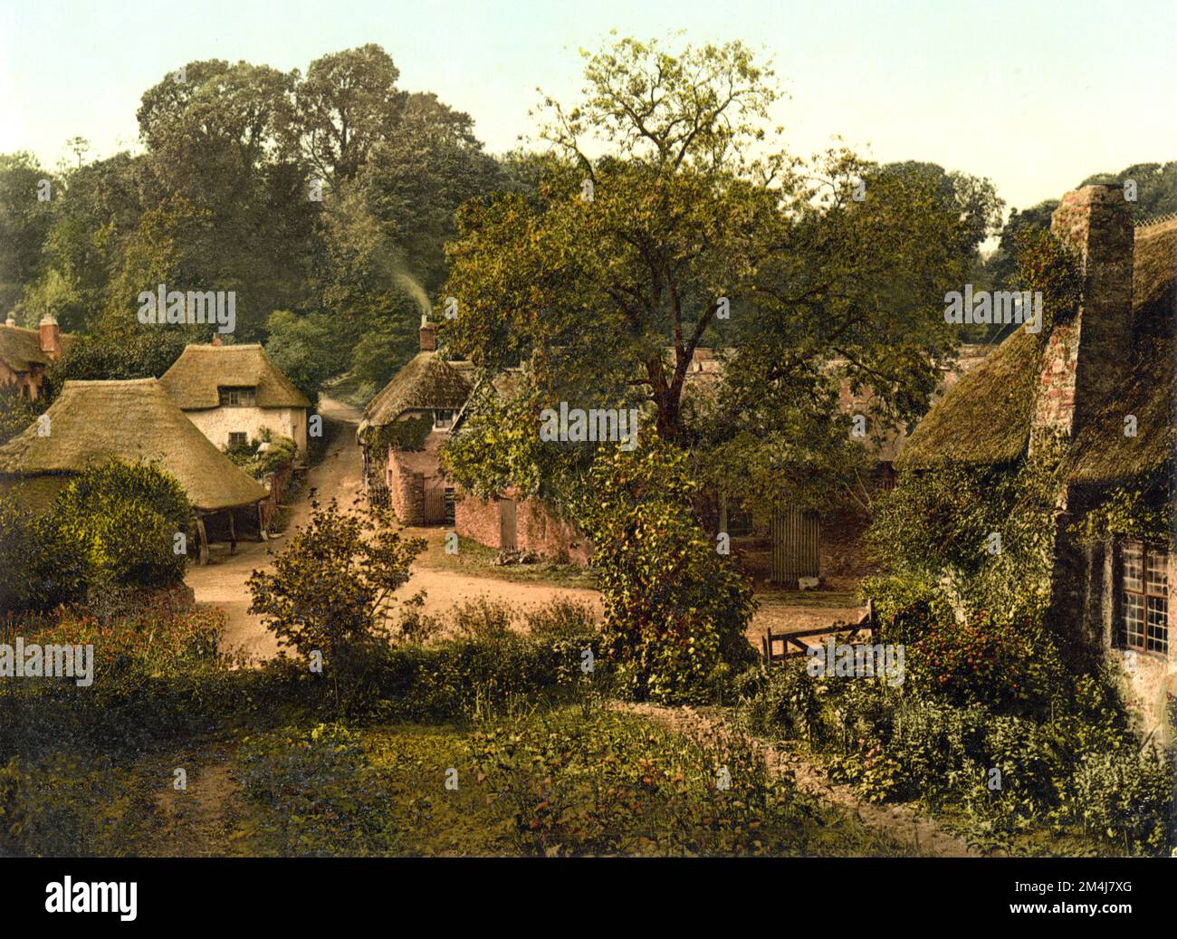 1890 ca , DEVON , ENGLAND , GREAT BRITAIN : The COCKINGTON VILLAGE near ...