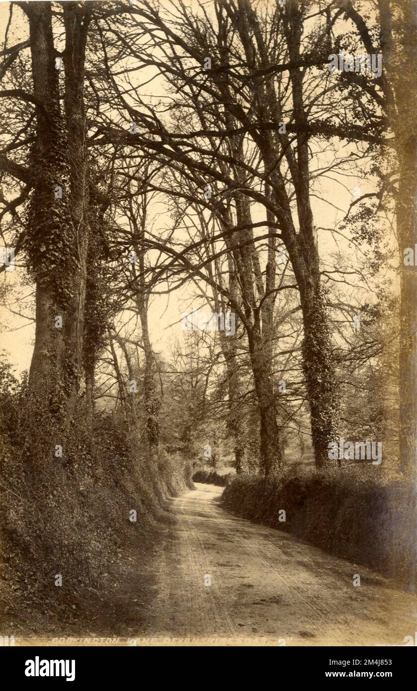 1885 ca , DEVON , ENGLAND , GREAT BRITAIN : The COCKINGTON LANE near ...