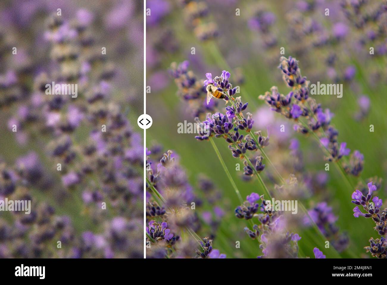 Low quality image before and after software enhancement. Simulation of ...