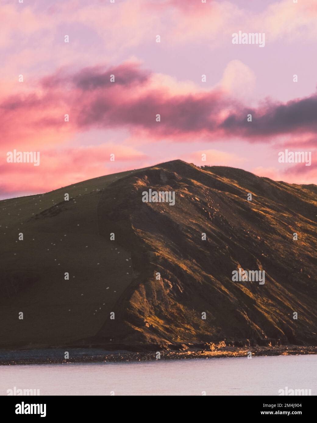 A vertical shot of the rocky hill by the sea under a pink sky with ...