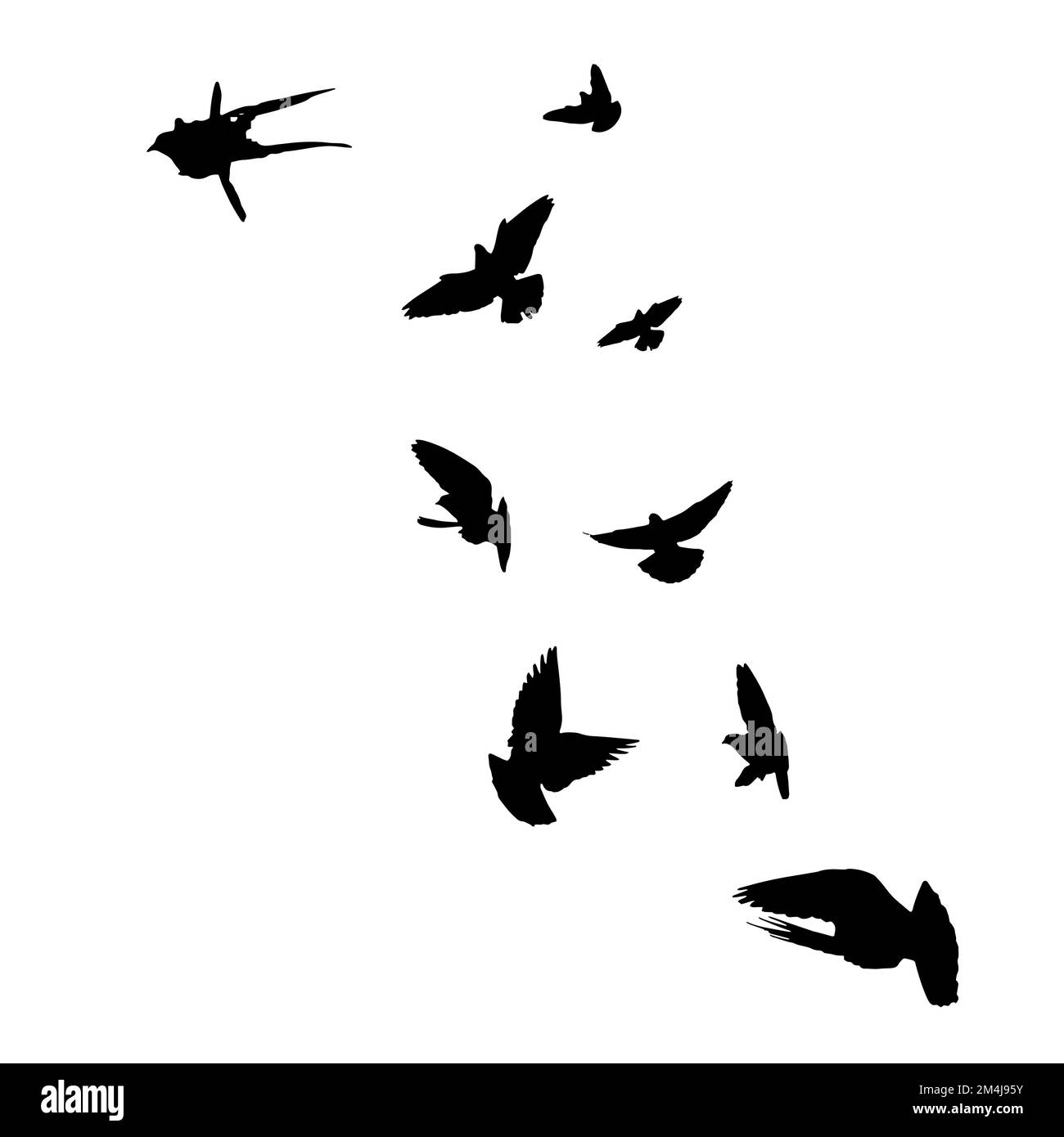 A flock of flying birds. Free birds. Vector illustration Stock Vector ...