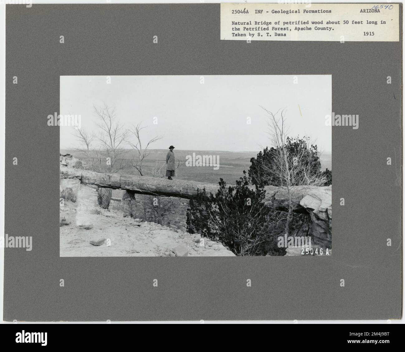 Geological Formations - Natural Bridge/ Arch - All States. Photographs ...