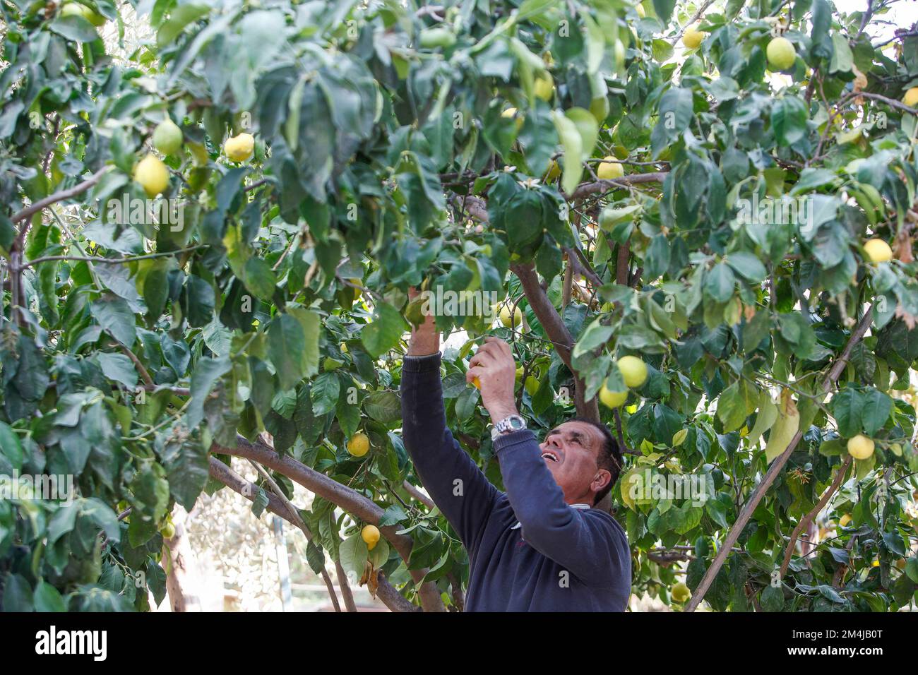 Wadi al faraa hi-res stock photography and images - Alamy