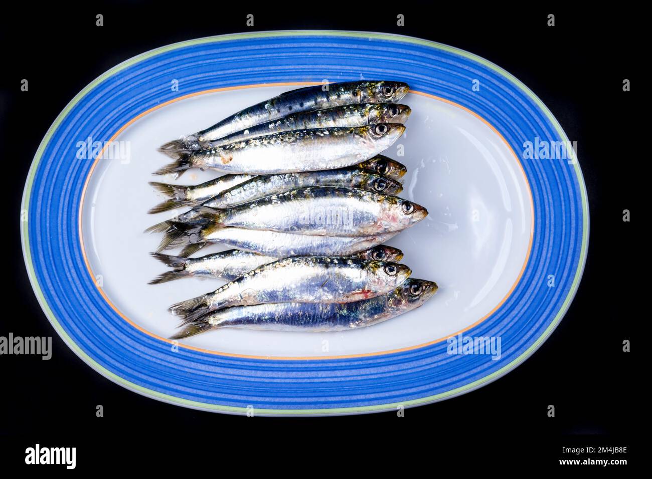 Monotypic species hi-res stock photography and images - Alamy
