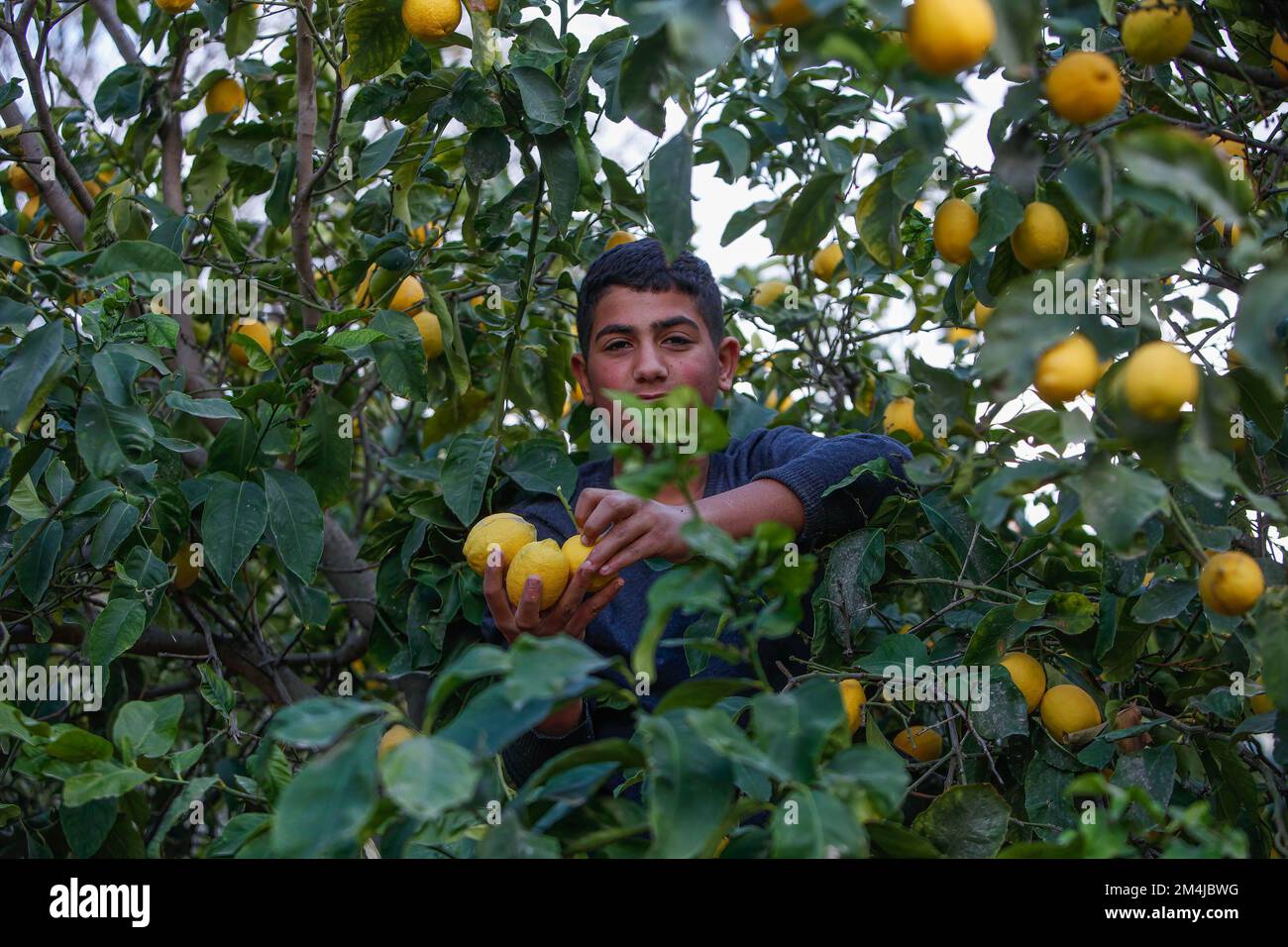 Wadi al faraa hi-res stock photography and images - Alamy
