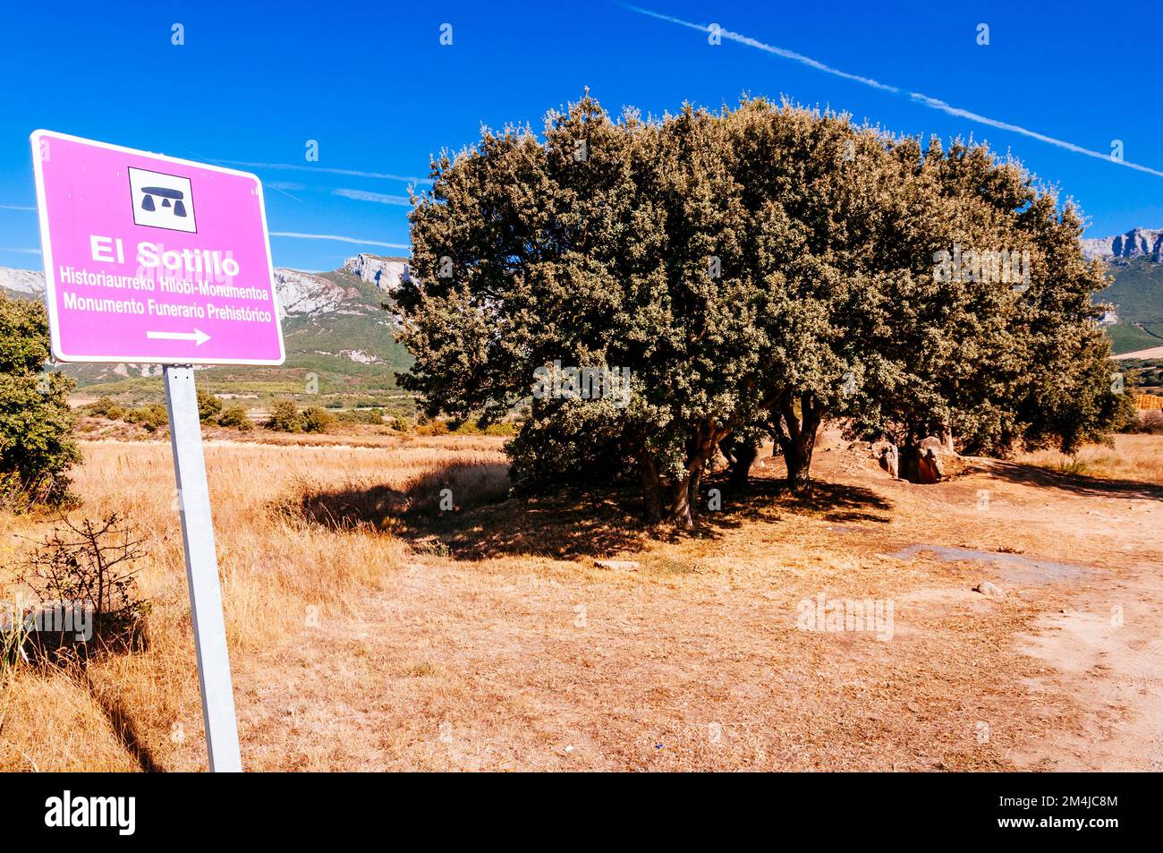 Dolmen of El Sotillo, megalithic complex made up of a corridor and a ...
