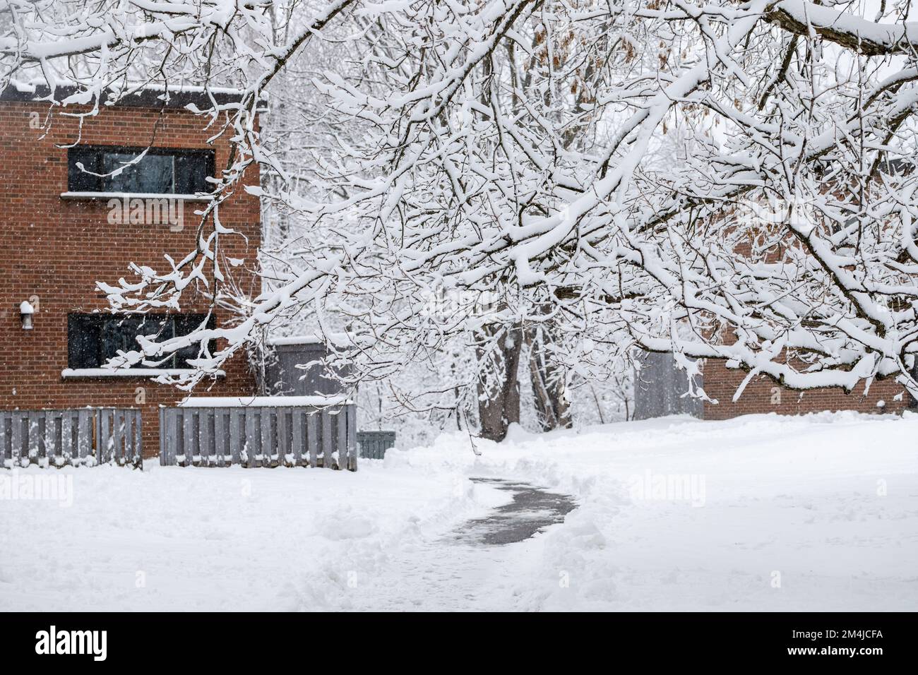 Snowfall in the yard. Snow on the sidewalk leading to the house. Snowy day Stock Photo - Alamy