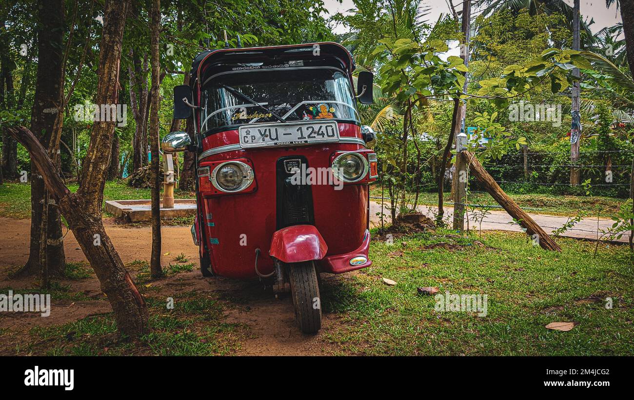 A red auto rickshaw (Tuktuk) parked in a green garden in Sri Lanka ...