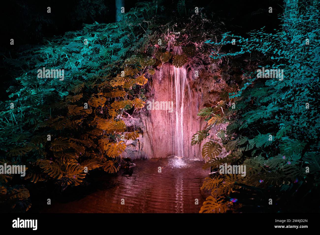 Christmas lights at La Concepción, Málaga botanical garden, Spain Stock ...
