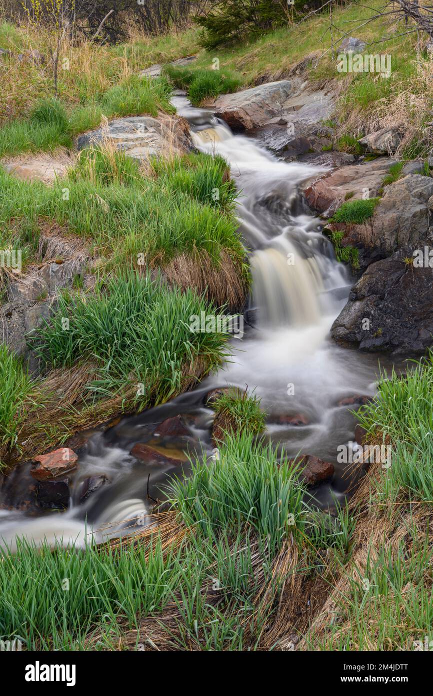 Spring creeks hi-res stock photography and images - Alamy