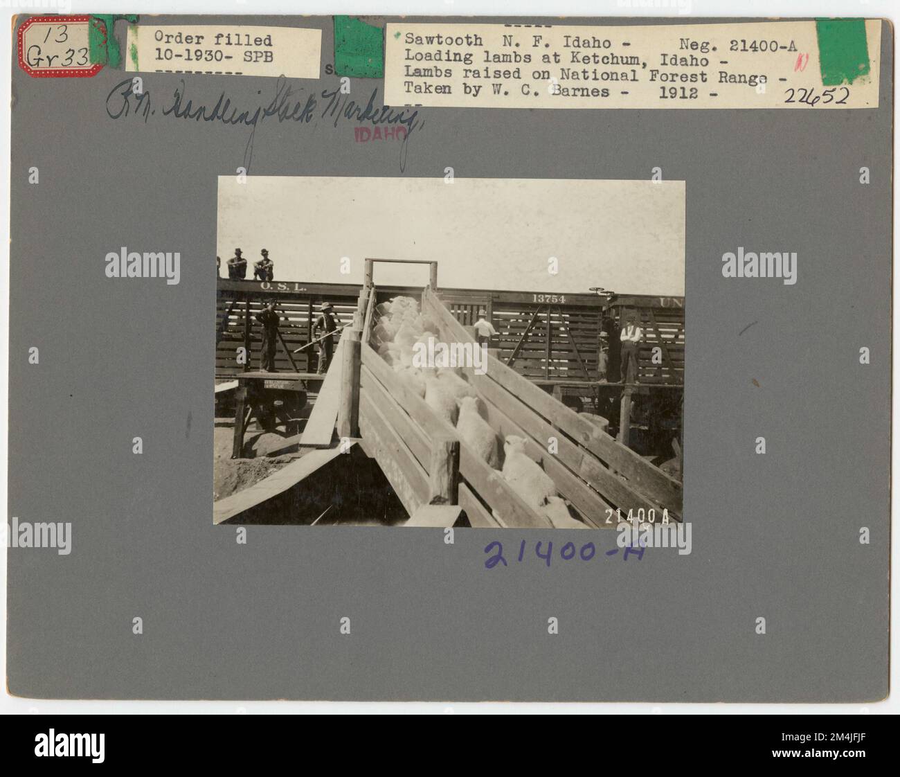 Transportation of Livestock - All States. Photographs Relating to ...