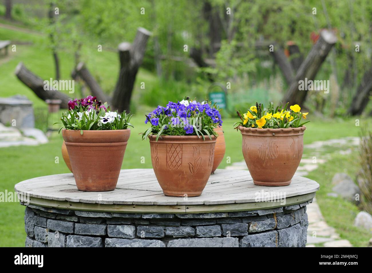 Flower pots vector hi-res stock photography and images - Alamy