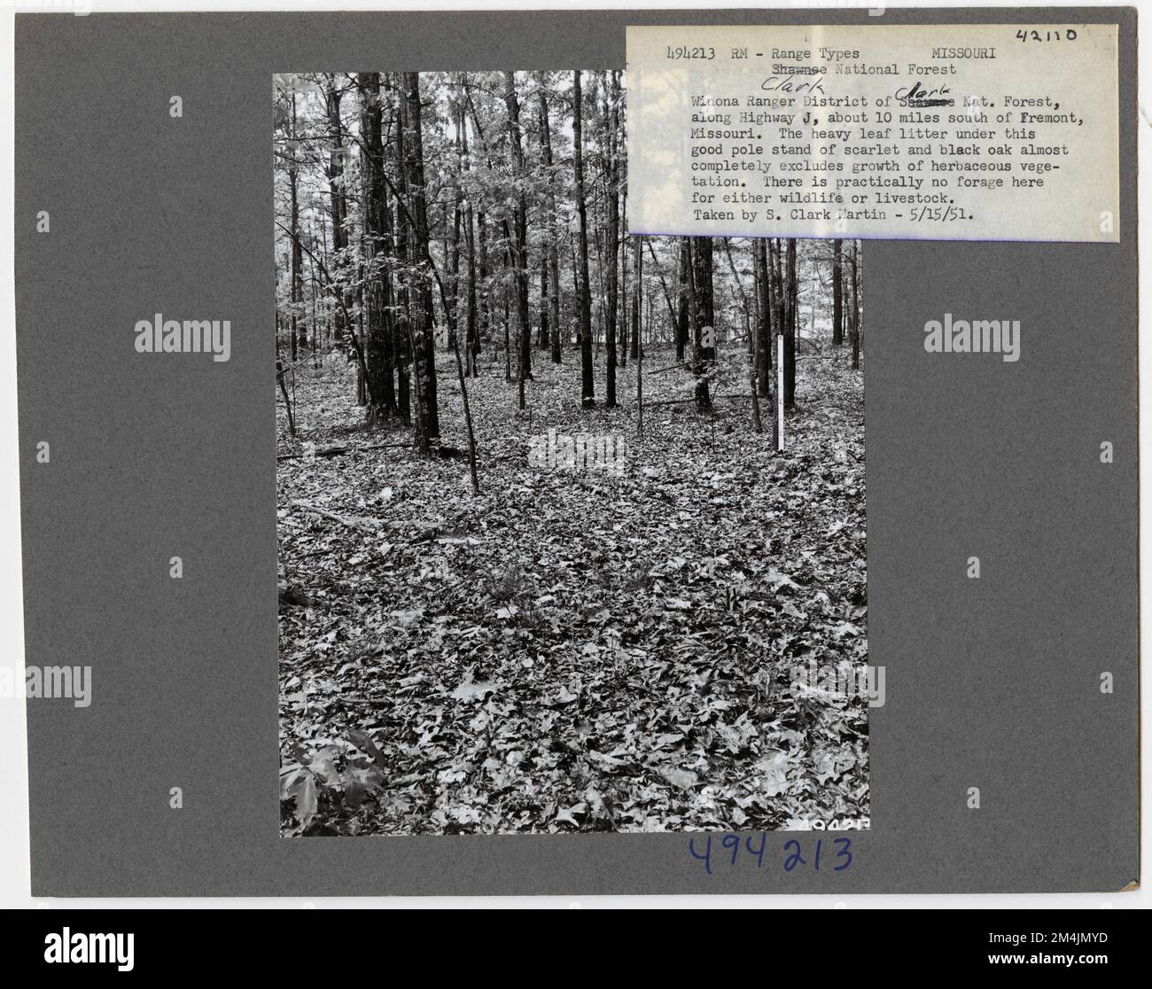 Forest - Woodland Types - General. Photographs Relating to National ...