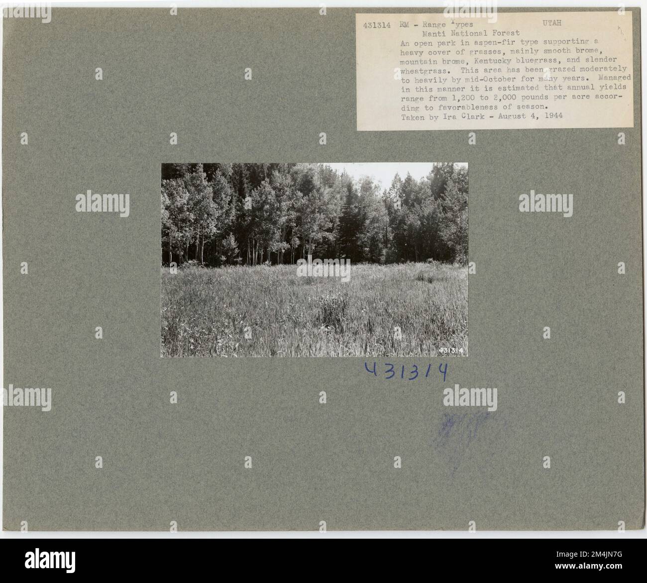 Grassland Types - Utah. Photographs Relating to National Forests ...