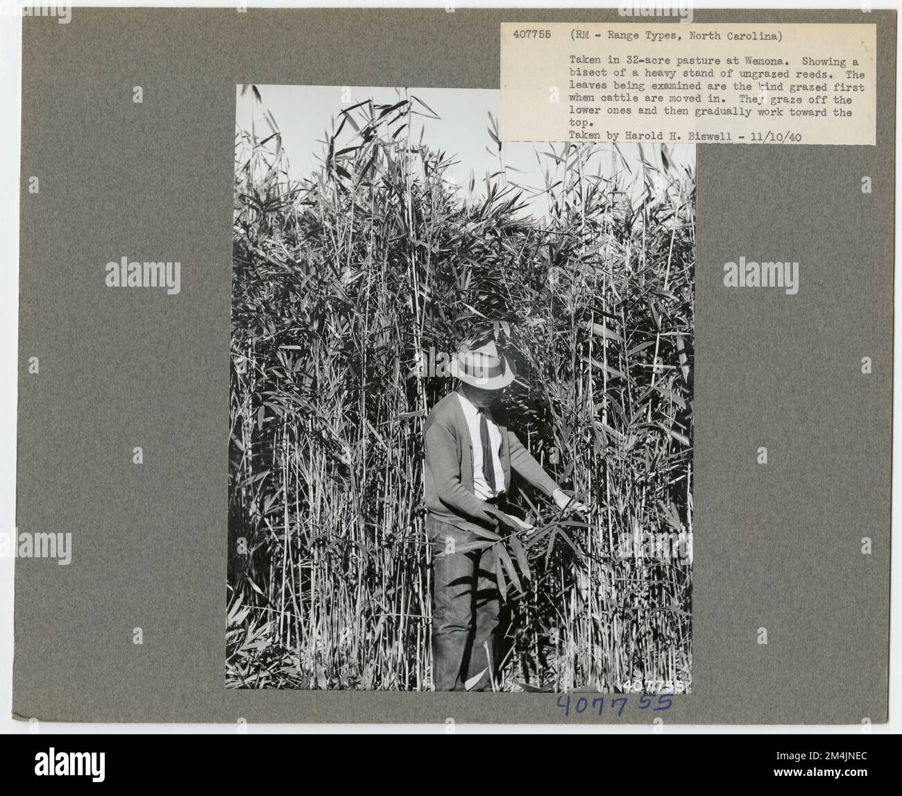 Grassland Types - North Dakota. Photographs Relating to National ...