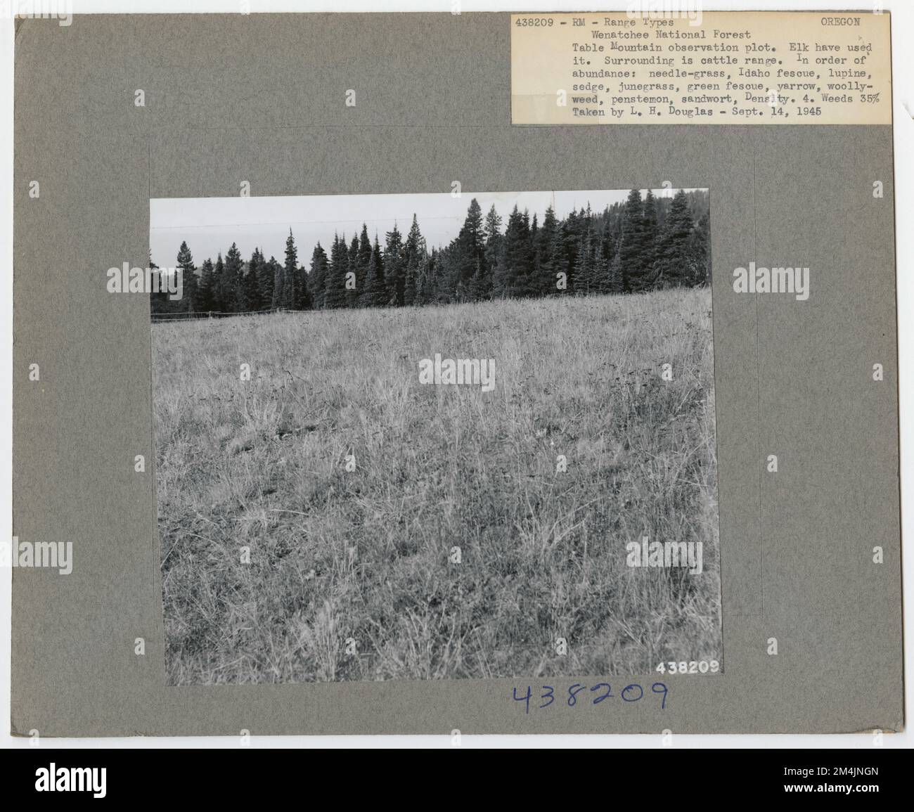 Grassland Types - Oregon. Photographs Relating to National Forests ...