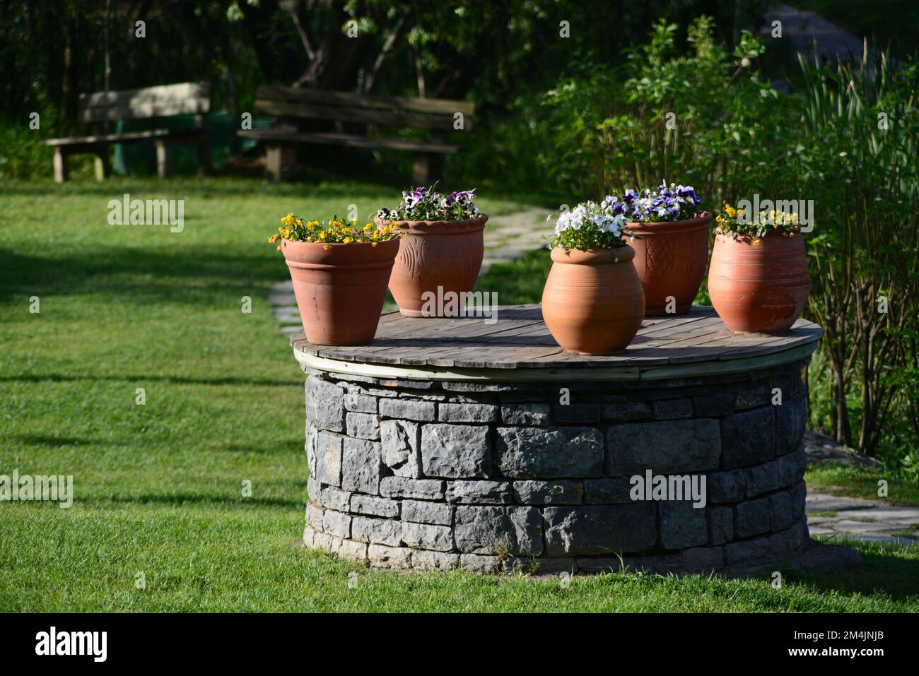 Flower pots vector hi-res stock photography and images - Alamy