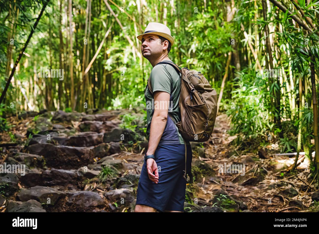 Man with a backpack walking through the green lush forest with bamboo ...