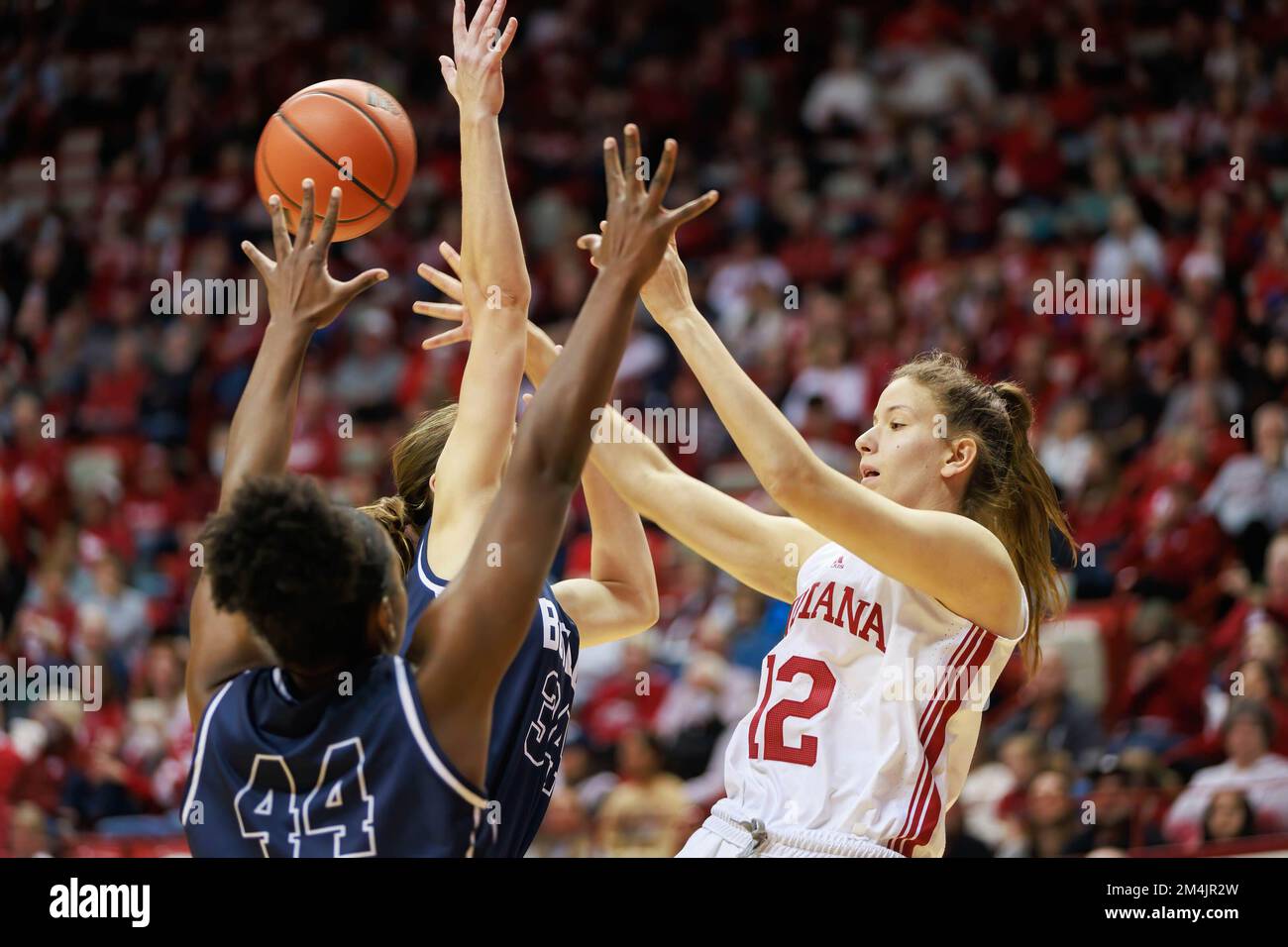 Anna mortag hi-res stock photography and images - Alamy