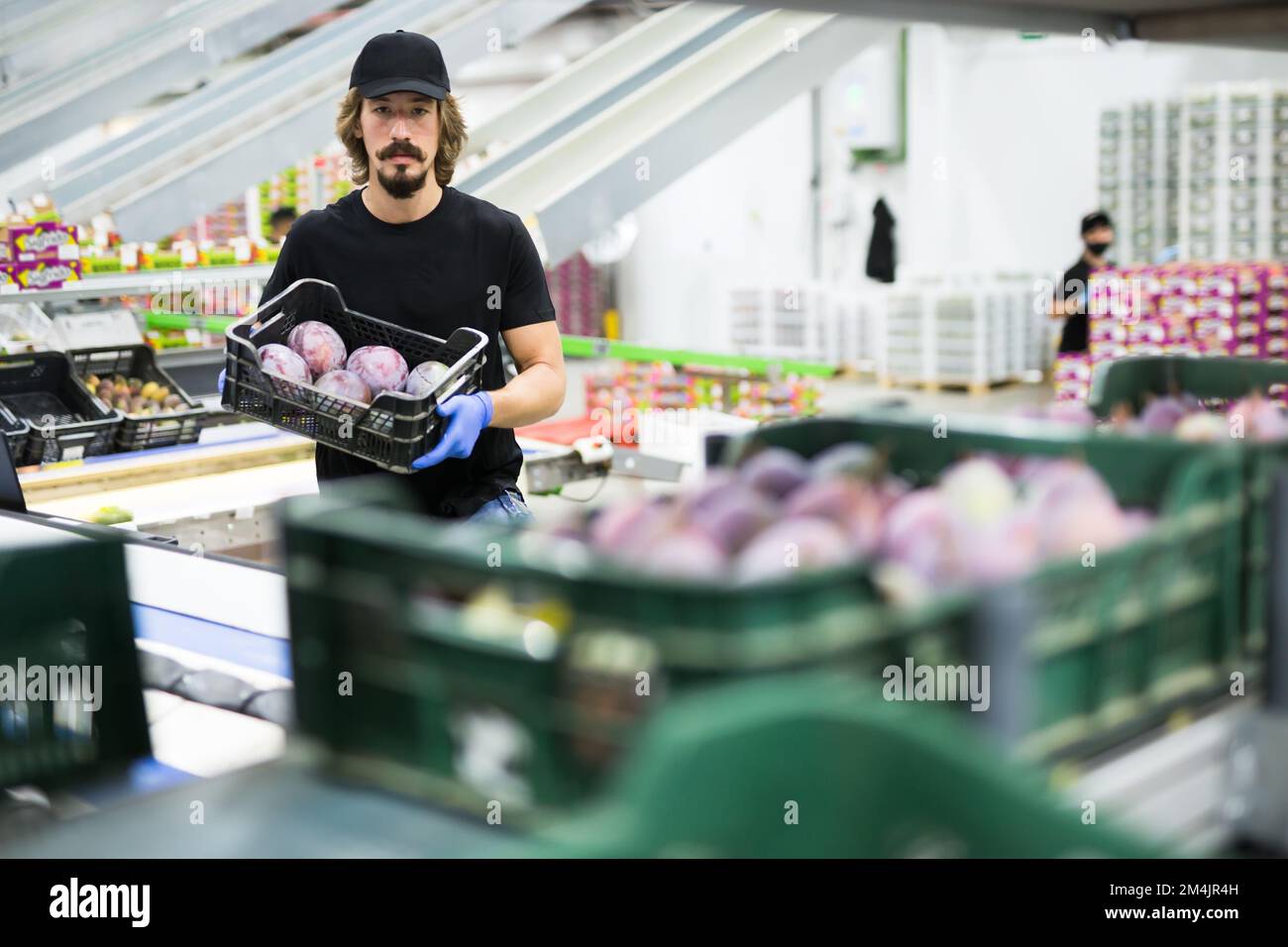 working man carries boxes of mango Stock Photo - Alamy