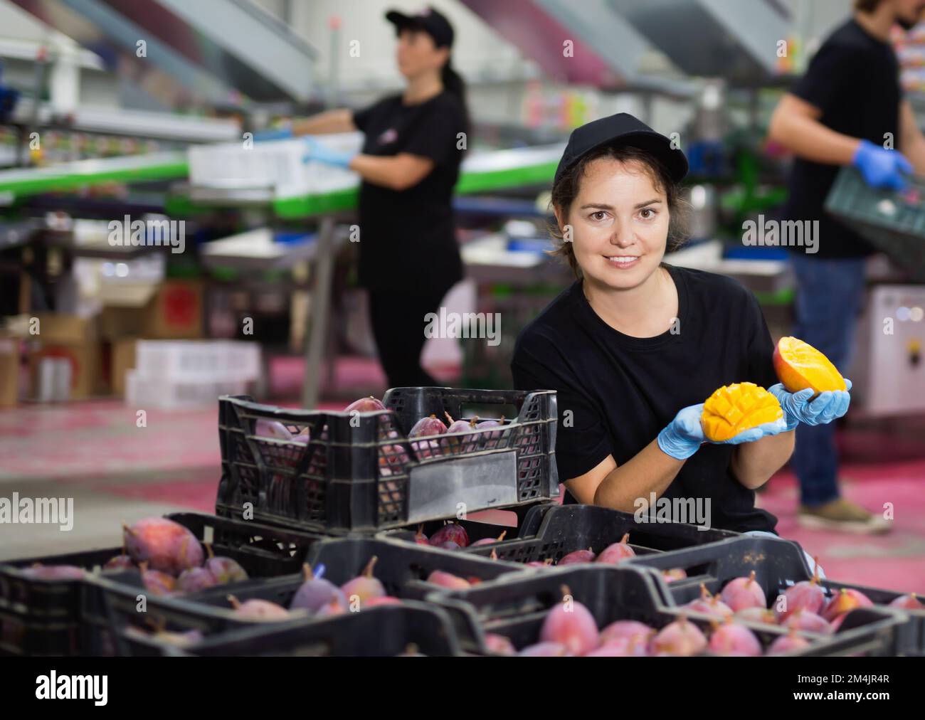 Portrait of positive female employee on fruit sorting department ...