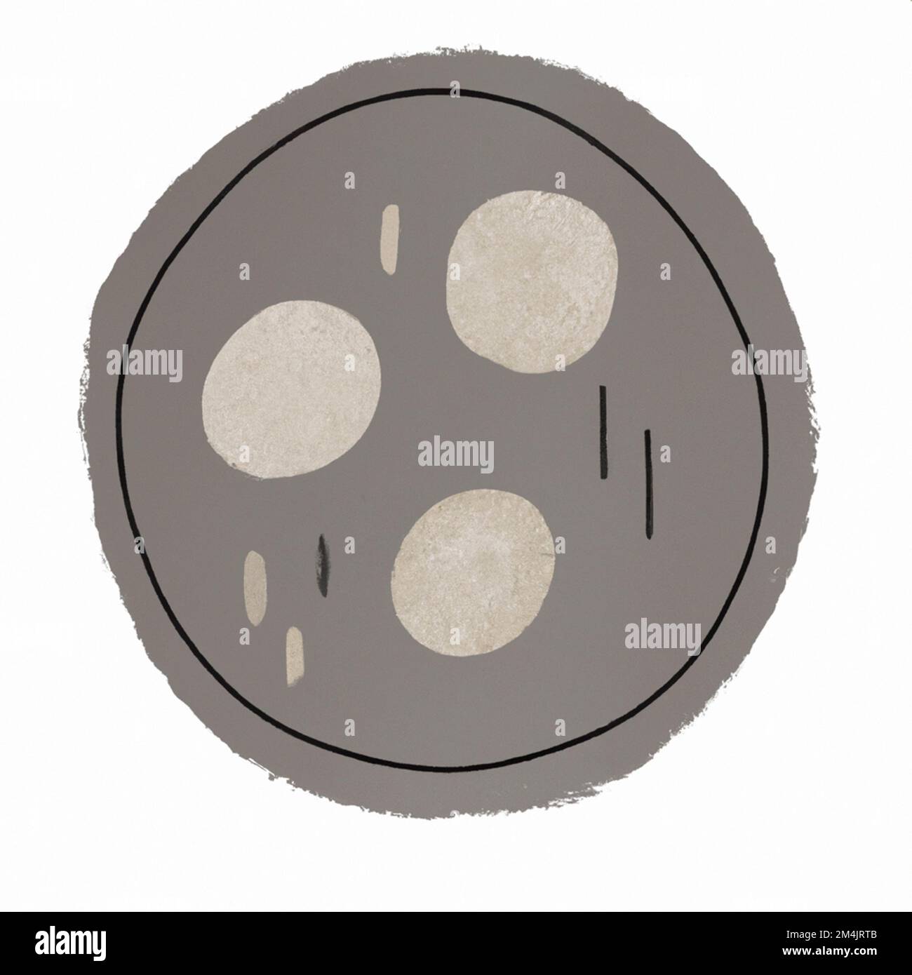 Trendy graphic illustration with an elegant muted color palette ...