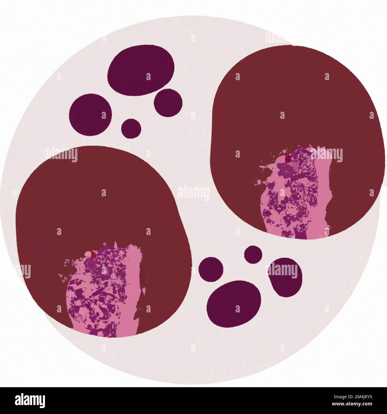 Trendy graphic illustration with an elegant muted red color palette ...