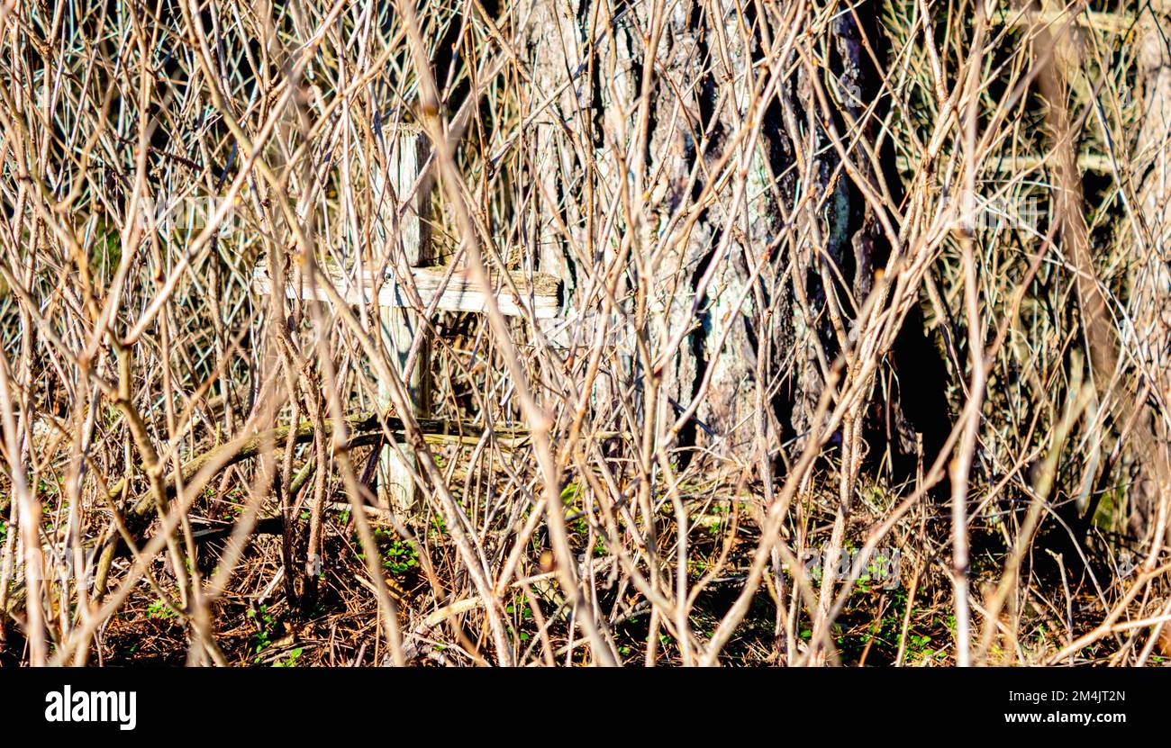 Small wooden cross with Jesus in the middle of green foliage of ...