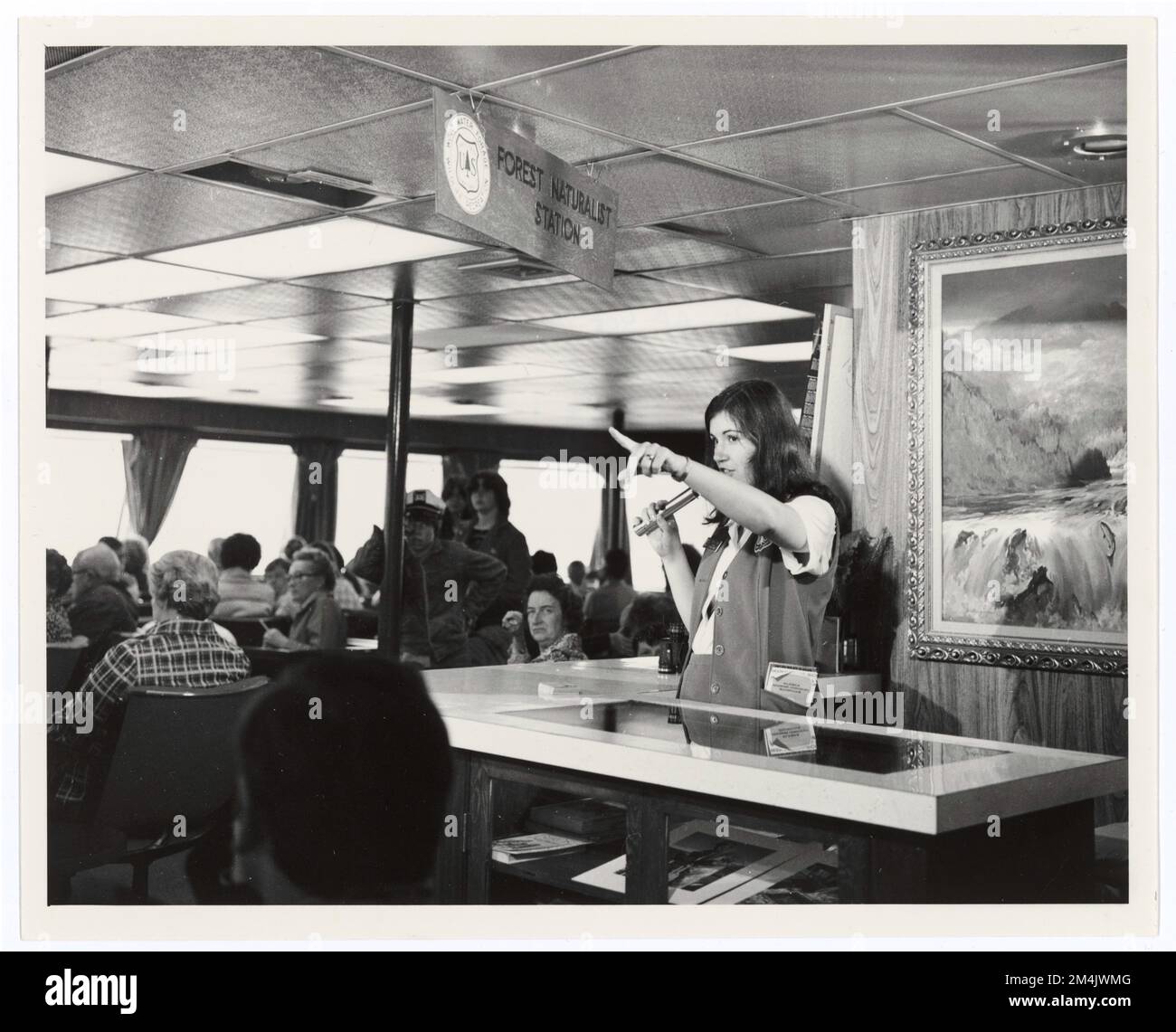 Tree species information Cut Out Stock Images & Pictures - Alamy