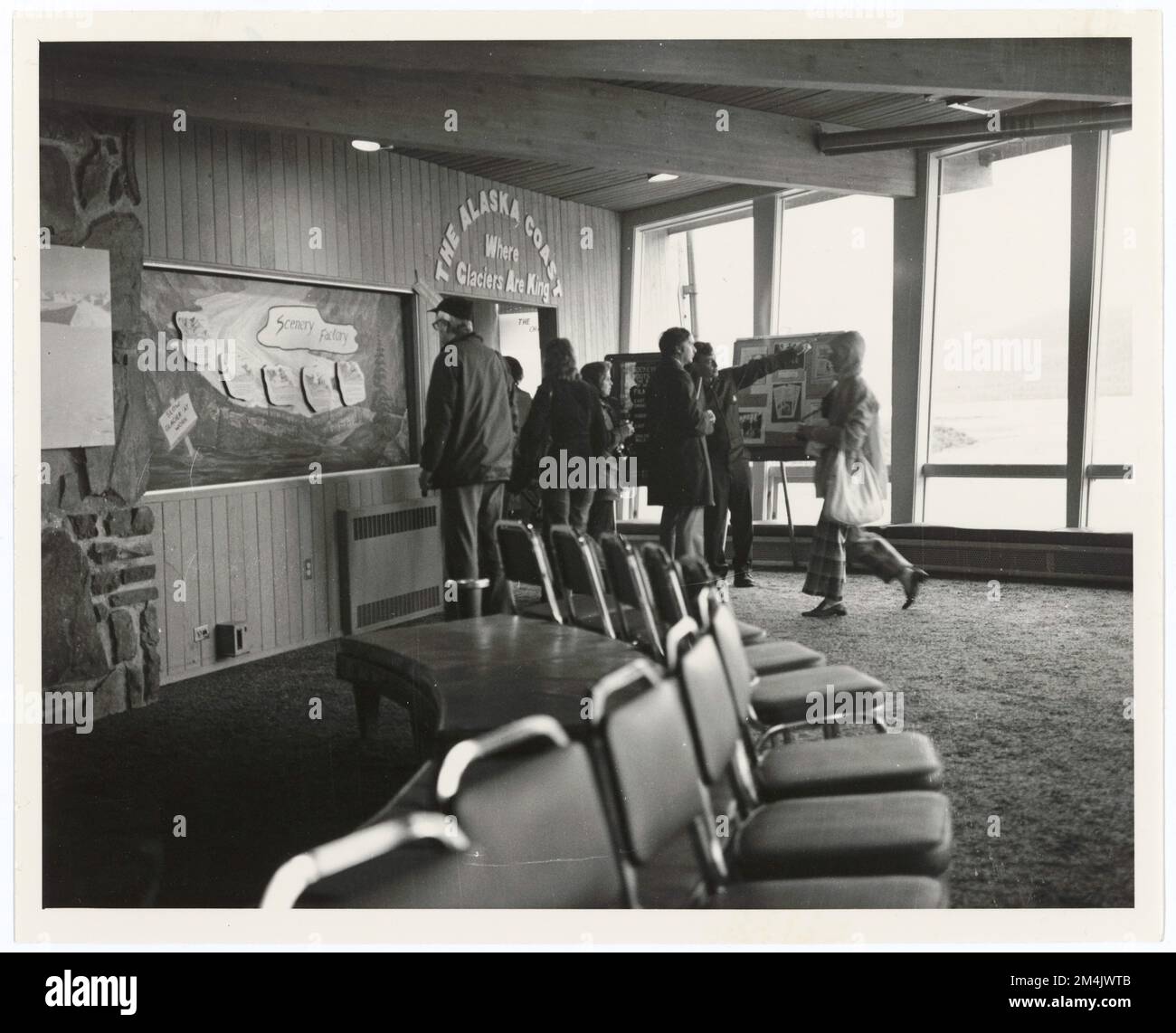 Tree species information Cut Out Stock Images & Pictures - Alamy