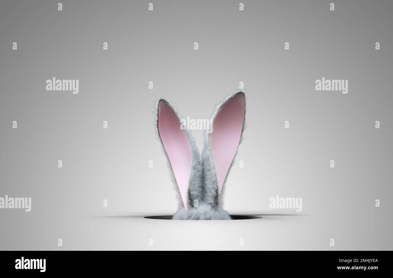 bunny ears sticking out of a hole - 3d rendering Stock Photo - Alamy