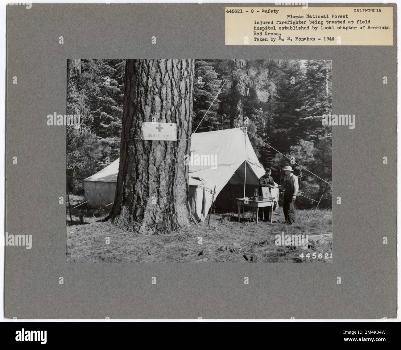 Historical Safety - General. Photographs Relating to National Forests ...