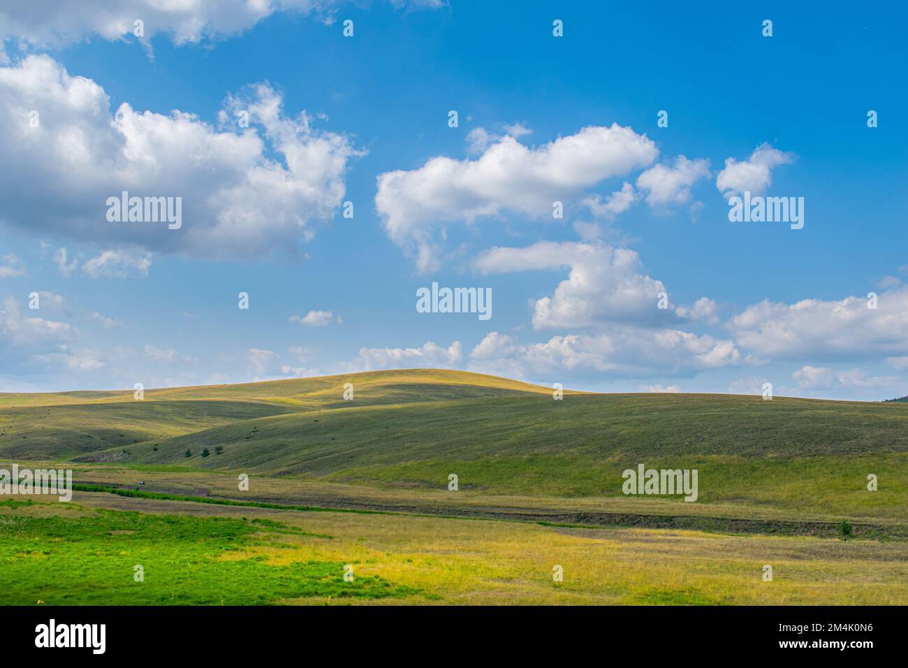 Beautiful pastures that stretch over a large area Stock Photo - Alamy