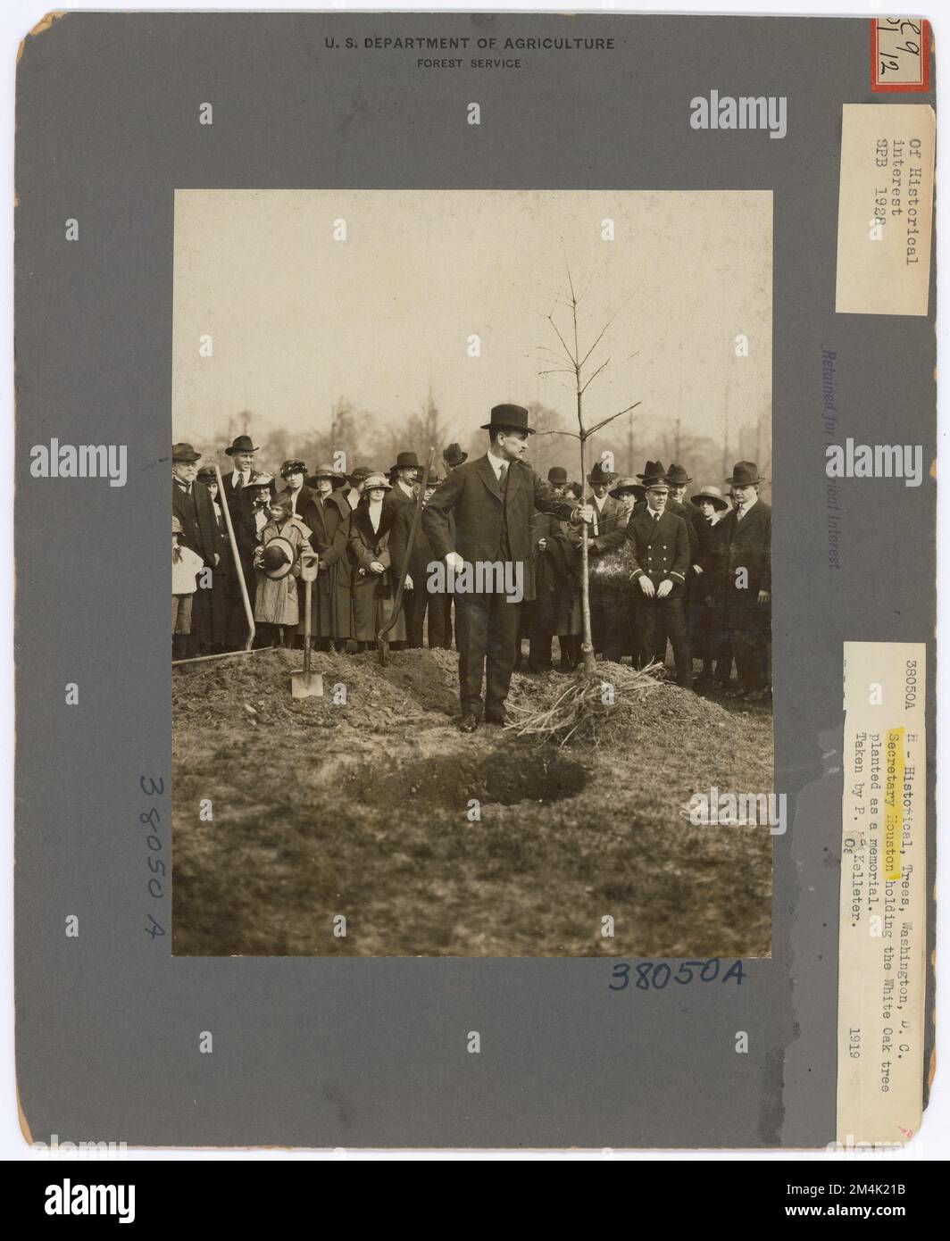 Historical Trees - District of Columbia. Photographs Relating to ...